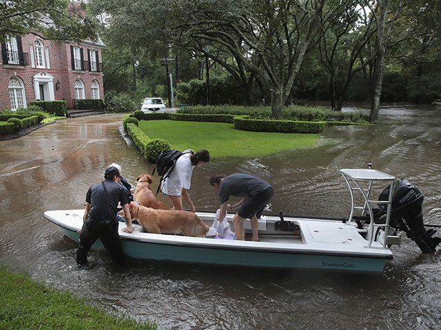 Photos: Animals are rescued from flood waters after Hurricane Harvey ...
