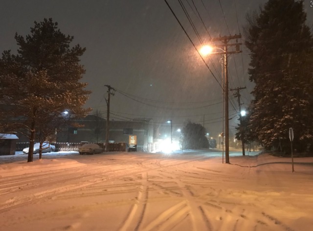 PHOTOS: Winter wonderland across Northeast Ohio - Gallery