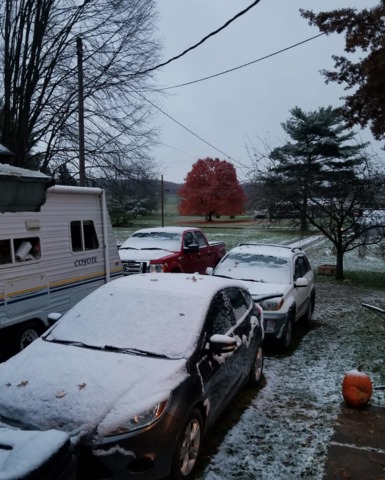 Photos: First snowfall of the 2018 season - Gallery